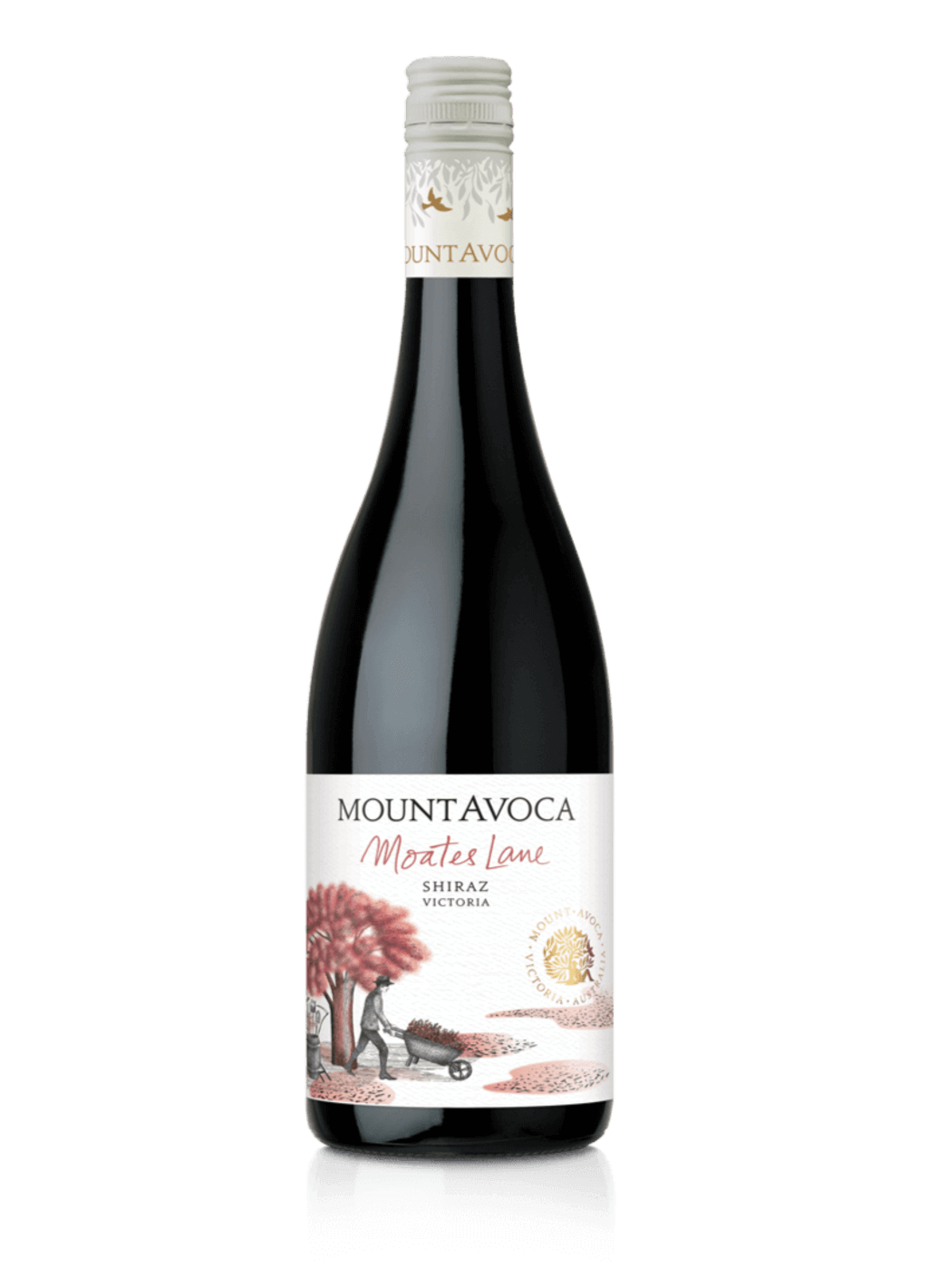 Mount Avoca Moates Lane 2020 Shiraz
